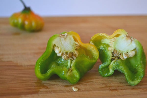 Puerto Rican Sofrito (Recaito) - Delish D'Lites