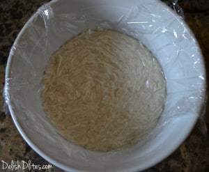 Cinnamon-Scented Arborio Rice Pudding (Arroz Con Leche) - Delish D'Lites