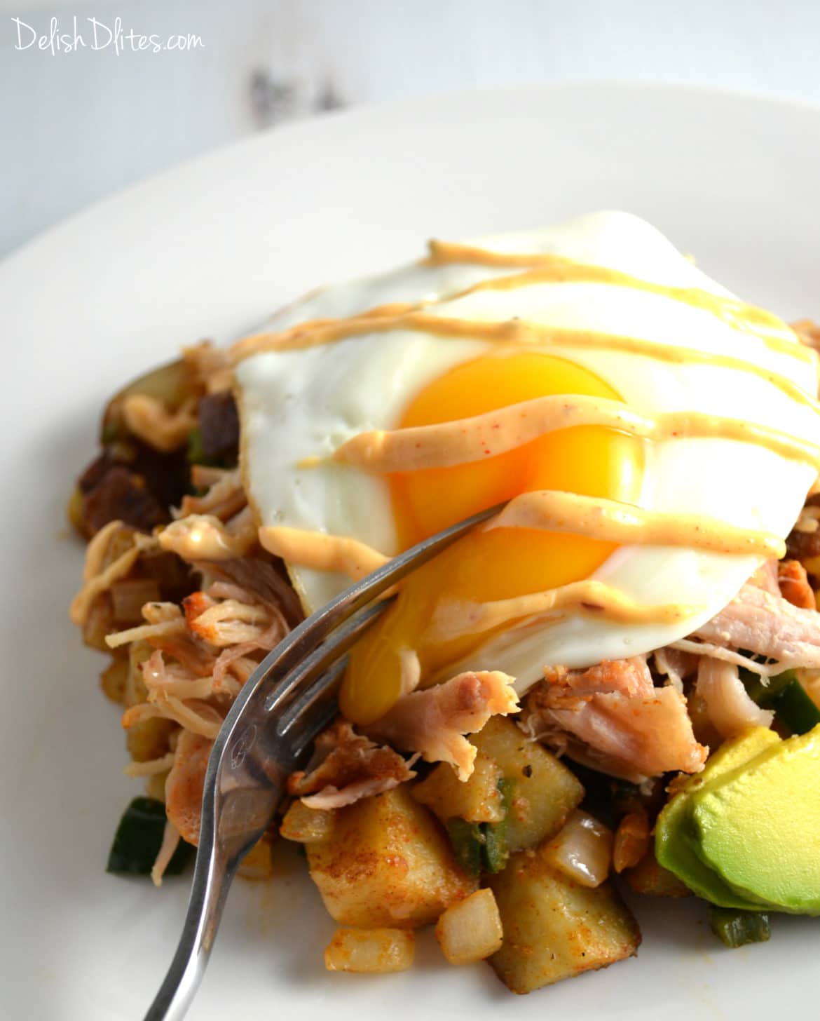 Instant Pot Pulled Pork Hash - Delish D'Lites