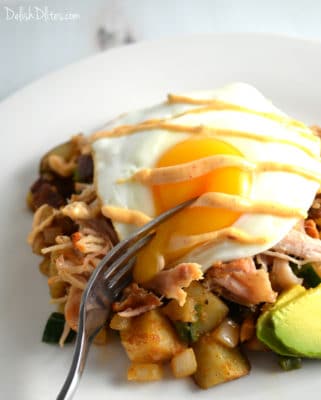 Instant Pot Pulled Pork Hash - Delish D'Lites